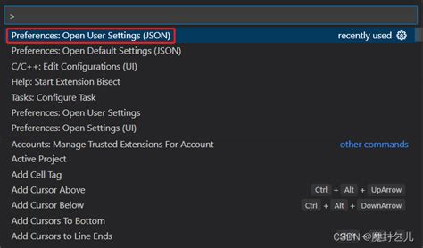 解决 Vscode 插件参数配置过程中报如下警告： Unable To Write Into User Setingsunable To Write Into User Settings