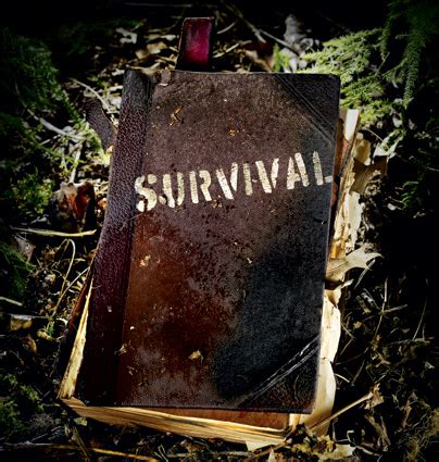 survival survival the adventurer