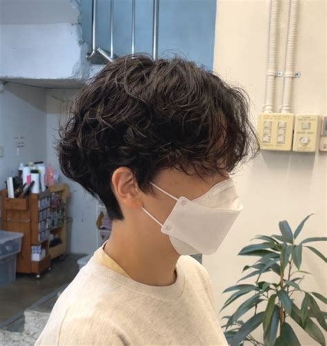 너무 귀여운 숏컷 히피펌 베이비 인스티즈 Instiz 이슈 카테고리