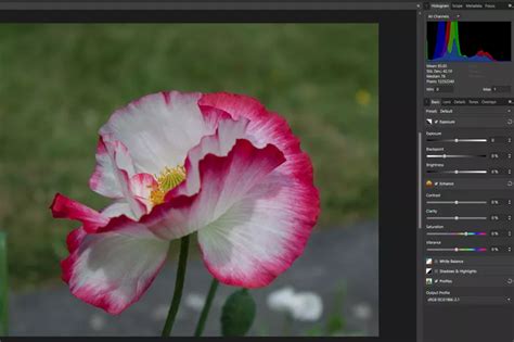 Gestion Des Couleurs Dans Affinity Photo Le Guide Ultime Post