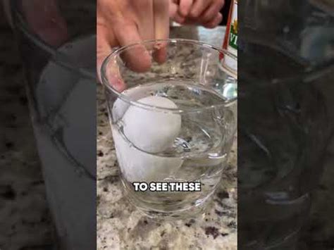 How To Make A Naked Egg Video Kidibot