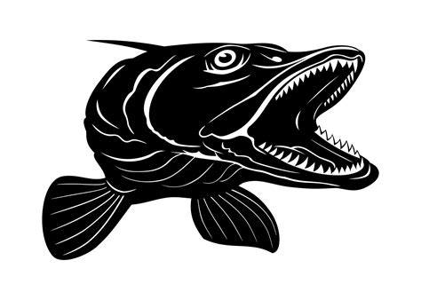 Pike Skull