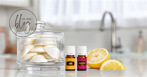 Diy Garbage Disposal Fresheners Young Living Blog