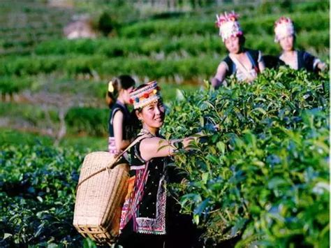 云南的25个少数民族，你一定不知道的这些特色！ 说明书网