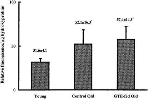 Effect Of Drinking Green Tea Extract On Age Associated Accumulation Of