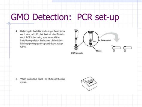 PPT Todays PCR GMO Detection PowerPoint Presentation Free Download ID