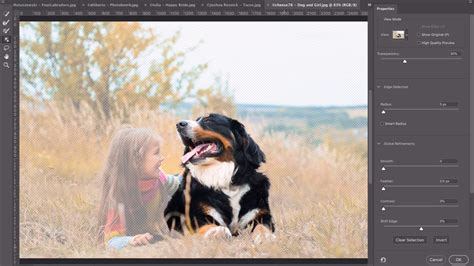 Adobe Previews Precise Photoshop Object Selection Powered By Sensei Ai