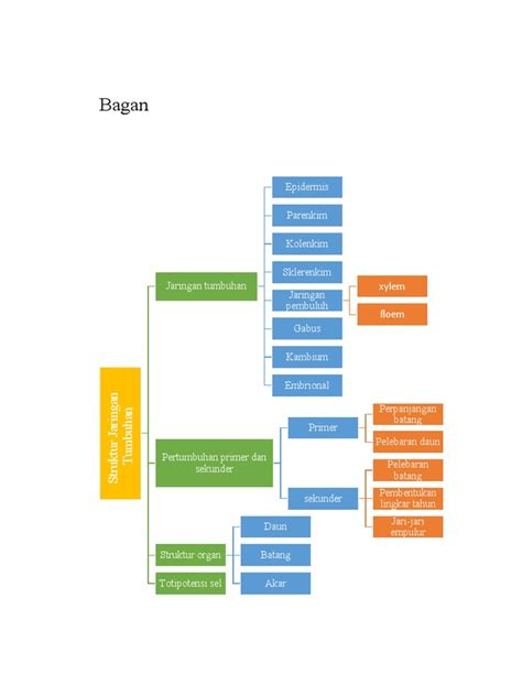 Bagan Struktur Jaringan Tumbuhan Pdf
