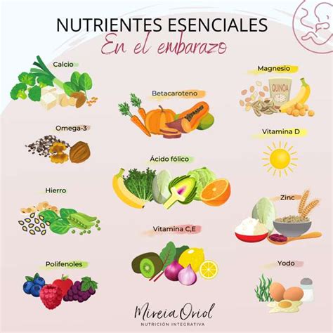 Nutrientes Esenciales Rompecabezas En Línea
