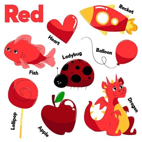 Premium Vector Collection Of Red Objects And Vocabulary Words In