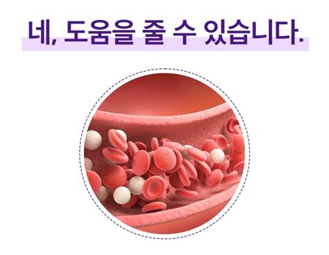 뉴로마스터 은행잎추출물 요오드 홍경천추출물 혈액순환 기억력 집중력 영양제