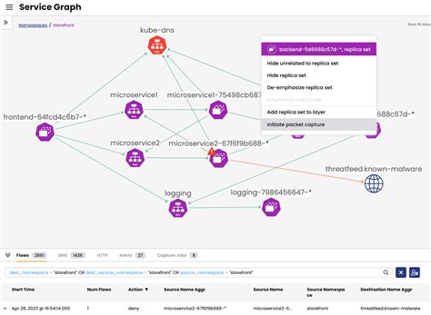 Visualizing Service Connectivity Dependencies And Traffic Flows In