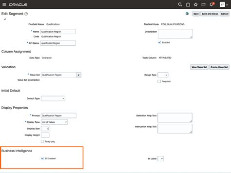 Configure Descriptive Flexfields And Generate Otbi Reports With Dffs — Cloud Customer Connect