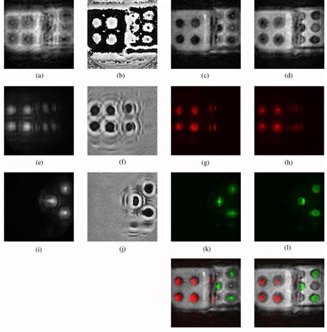 A Magnitude And B Phase Of The Complex Fresnel Hologram Of The Download Scientific Diagram