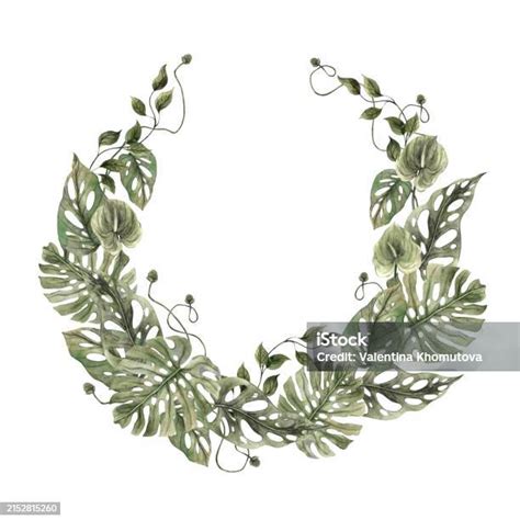 몬스테라 칼라테아 디펜바키아 덩굴식물 안스리움 꽃 흑백 스타일의 수채화 열 대 라운드 화 환입니다 꽃 및 식물 트렌드 2024 초대장 카드 포장 휴일용 화환 0명에 대한