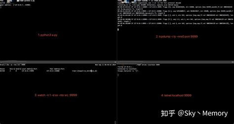 Tcp Keepalive 知乎