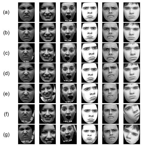 In Our Second Set Of Experiments We Tested The Histogram Of Orientated Download Scientific