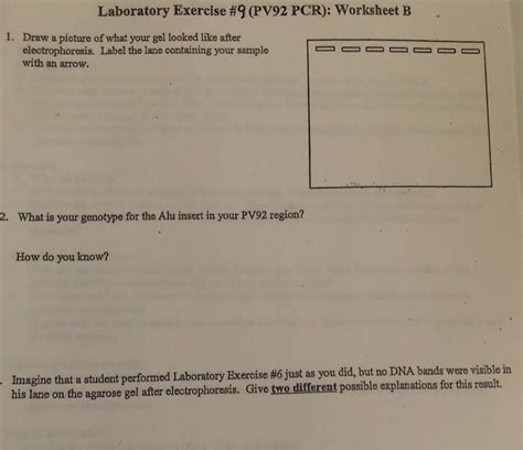 laboratory exercise 9 pv92 pcr worksheet b 1 draw