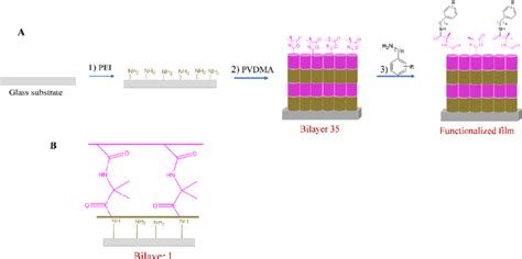 A Schematic Drawing Of The Prepared Lbl Assembly B Lbl Film With Download Scientific