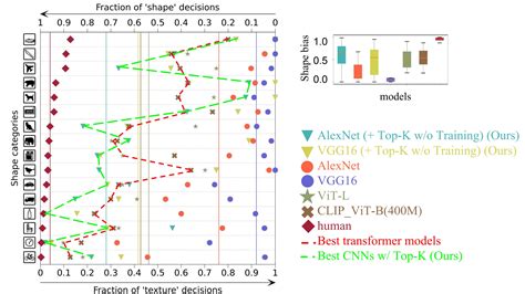 Emergence Of Shape Bias In Convolutional Neural Networks Through