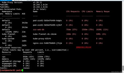 【kubernetes】k8s集群中pod的容器资源限制和三种探针容器部署时限制的资源 Csdn博客