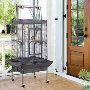 Indian Ringneck Bird Cages Youll Love Uk