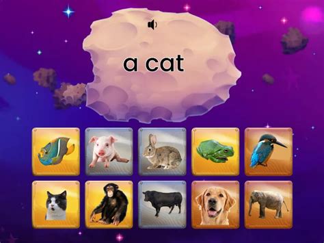 Finding Match Find The Match