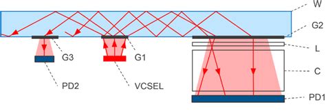 Schematics Of The Optical Structure And Ray Propagation From The Source