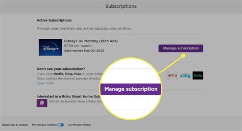 How To Cancel Disney Plus On Roku
