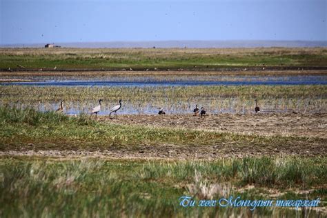 Баян нуур Дорнод аймаг Халх гол сум Narkhuu Enkhbold Flickr
