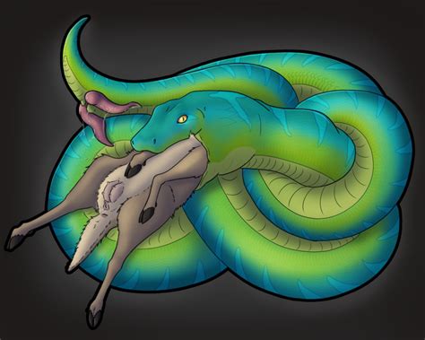 Rule 34 2 Penises Ambiguous Fluids Animal Genitalia Animal Penis Anus