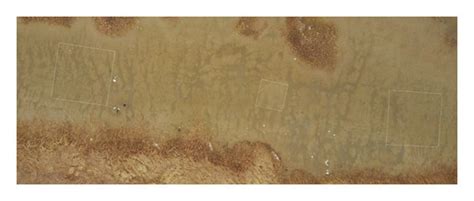 Soil Sampling Method In This Study A Selection Of Sampling Areas Download Scientific