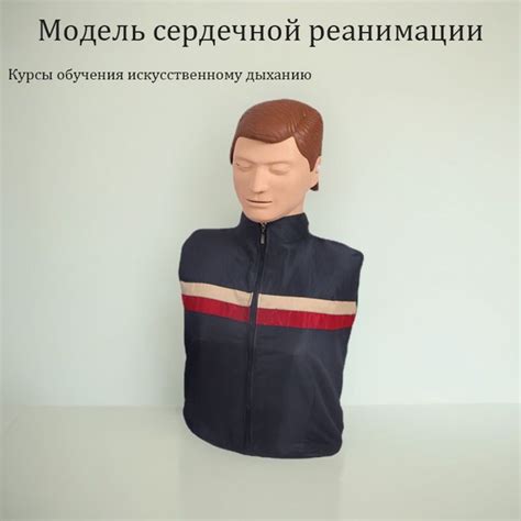 Имитационный манекен для сердечно-легочной реанимации CPR искусственное ...