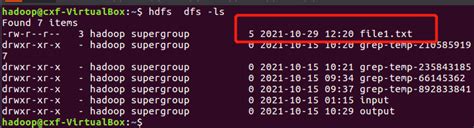 05 hdfs java api应用实例 蚊子布丁 博客园