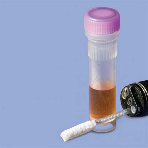 Pereg Pyromol E Hauser Medizintechnik