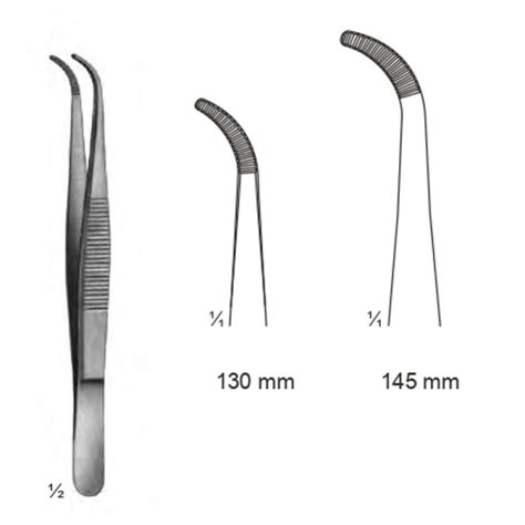 Dissecting Forceps Asn Instruments