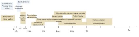 Temporal Resolving Power Biology Linac Coherent Light Source