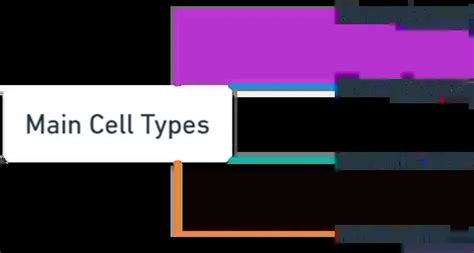 Reticuloendothelial System Res Main Cell Types Functions