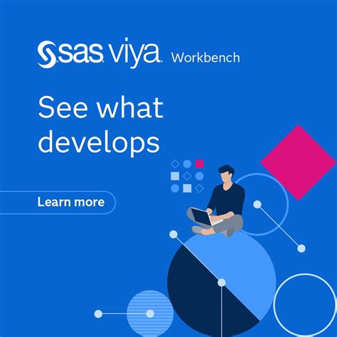 Sas Viya Workbench Sas
