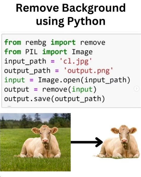 vladyslav naumov on linkedin python imageprocessing datascience