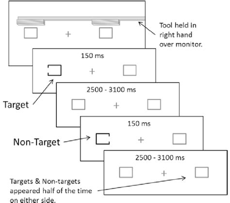 Target Detection Task Sequence Oriented For The Peripersonal Space