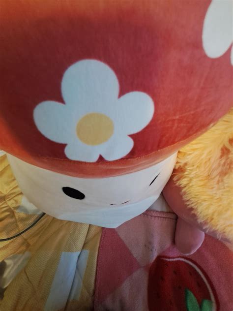 Swipe For Slightly Cursed Pics Rsquishmallow