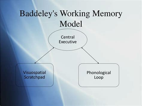 Ppt Models Of Working Memory Powerpoint Presentation Free Download