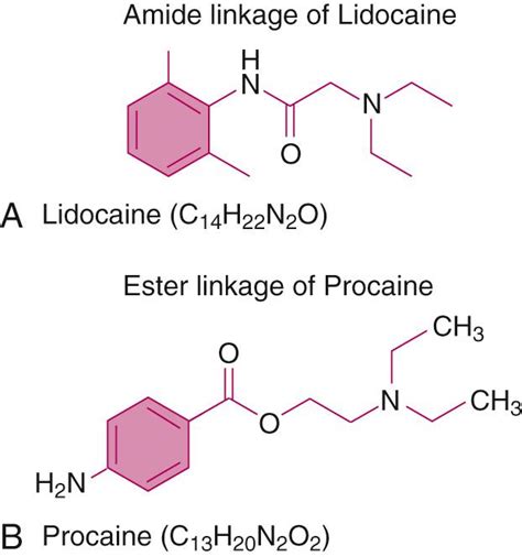 Local Anesthetics Clinical Tree