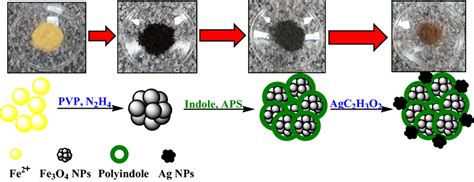 schematic representation for the preparation of fe3o4 pin ag composite