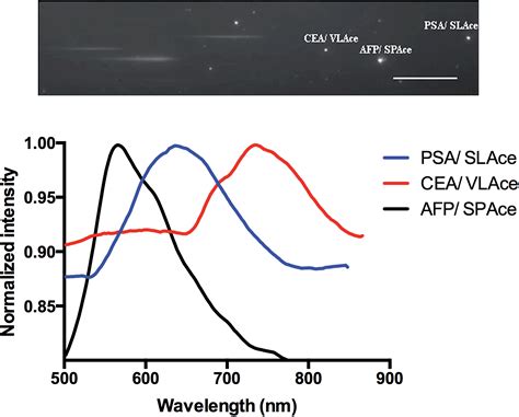 Direct And Multiplex Quantification Of Protein Biomarkers In Serum Samples Using An Immuno