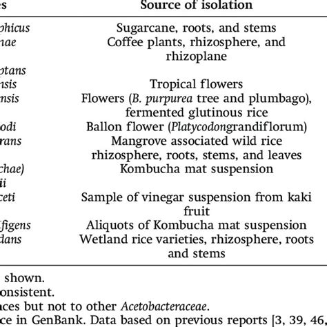 Source Of Isolation And Characterization Of Nitrogen Fixing Bacteria