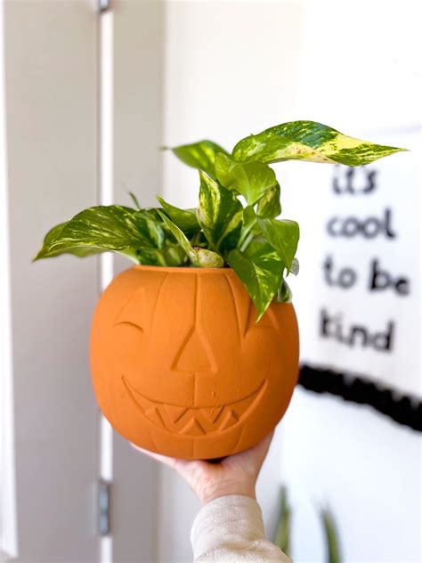 Diy Pumpkin Planter Deonna Wade
