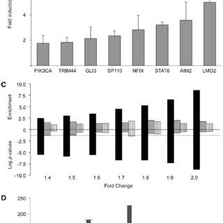 Occupancy And Motif Type Define A Distinct Subset Of Dynamically