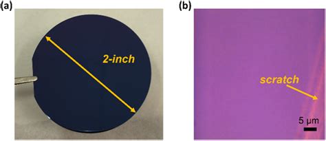 Monolayer Ws2 Films Grown On Sio2 Si Substrates A Photo Of A 2 Inch Download Scientific